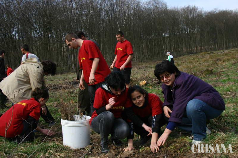 Hidişel - Cine-i harnic şi munceşte, cu goruni reîmpădureşte!